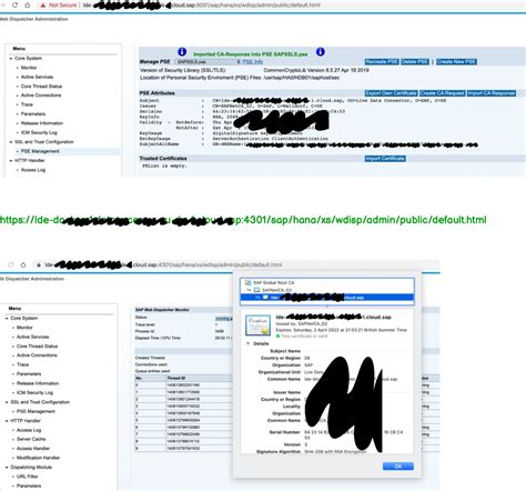 sap hana xs with sap community