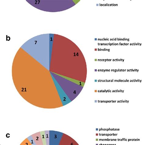 functional classification of annotated candidate genes delimited by