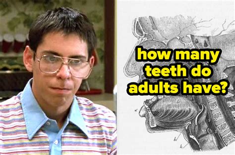 Only A Complete High Babe Nerd Could Get All Of These Questions Right So Good Luck Web Uk Com