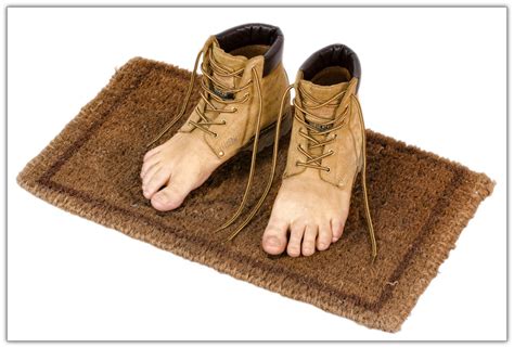 Bootstrapping The Double Loop Governed Organization Virtual Democracy