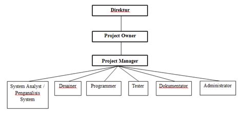 Manajemen Proyek Ti Membuat Struktur Organisasi Proyek Beserta Fungsi