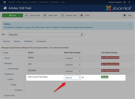 Custom Fields Episode 3 All The Parameters One Can Wish For The Joomla Community Magazine