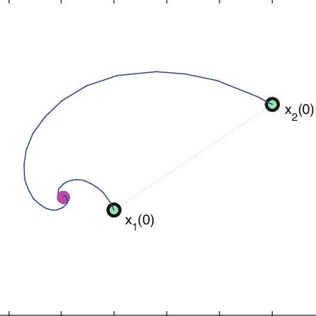 Numerical Example With Skew Symmetric Feedback The Skew Symmetric Download Scientific