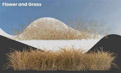 Premium Psd Dry Grass Isolated Dry Grass Field