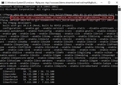 如何使用 ffmpeg 通过命令行界面播放 rtsp 流 tech club