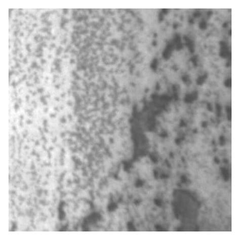 Examples Of Defect Images With Annotations In Neu A Inclusion B Download Scientific