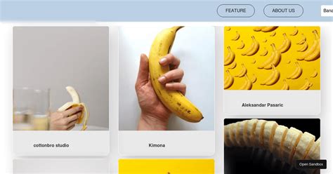 React Project Pexel API Forked Codesandbox