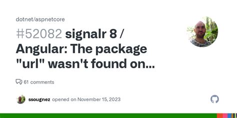 Signalr 8 Angular The Package Url Wasnt Found On The File System
