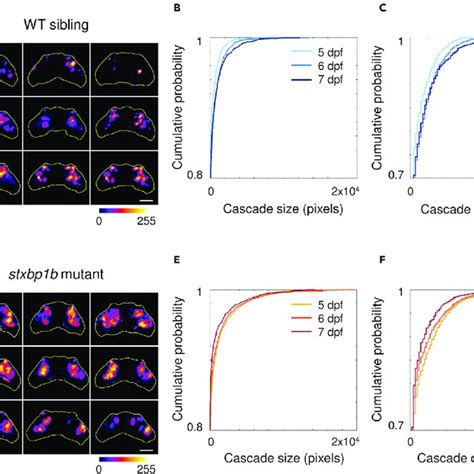 Cascade Quantification A Cascade Size Versus Duration On Different Download Scientific