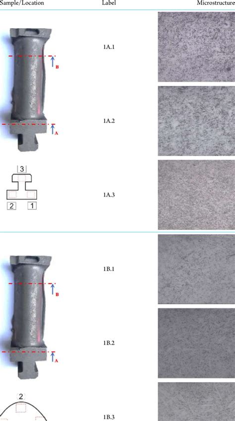 Data From Microstructure Observations Download Scientific Diagram