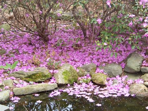 Studio Ju Ju Gardens Outdoor Decor Garden Decor