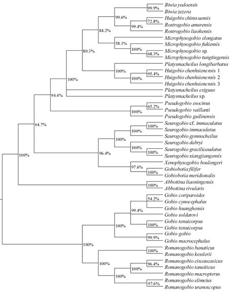 Bayesian Inference Tree Derived From Cyt B Gene For The Armatogobionina