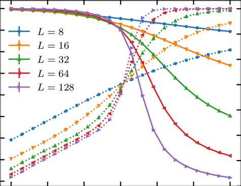 binder cumulant b solid lines and the log string order parameter
