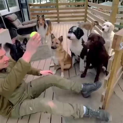 Laxman Singh On Linkedin 🎩 ️ There Is A Special Bond That Can Be