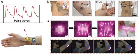 Recent Progress In Flexible Tactile Sensor Systems From Design To Application