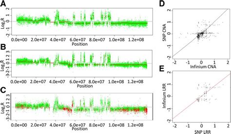 Using High Density Dna Methylation Arrays To Profile Copy Number Alterations
