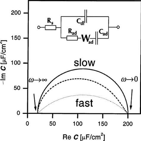dependence of the average double layer capacitance c̅ dl from the brug