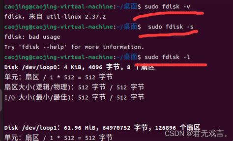 Linux虚拟机之ubuntu的磁盘存储管理（510）ubuntu 磁盘管理 Csdn博客