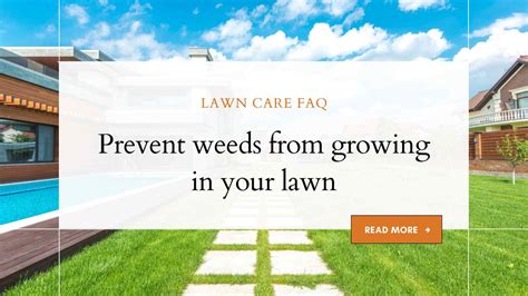 How To Prevent Weeds From Growing In Your Lawn Lawn Care Faq