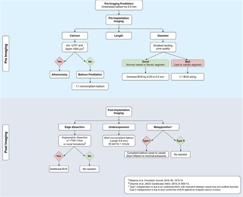 The Intravascular Bioresorbable Scaffold Optimization Technique