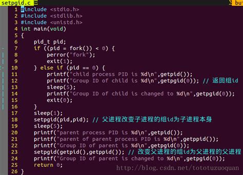 2进程之间的关系：进程组，会话，守护进程 父进程为什么不能当会话组组长 csdn博客