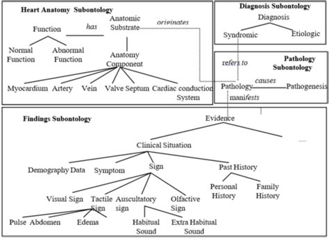 concepts and sub ontologies for cardiology download scientific diagram