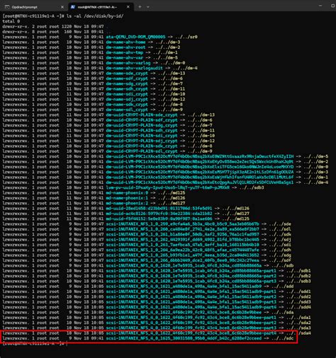 Adding Extra Disk To Nutanix Community Edition Jeroen Tielen