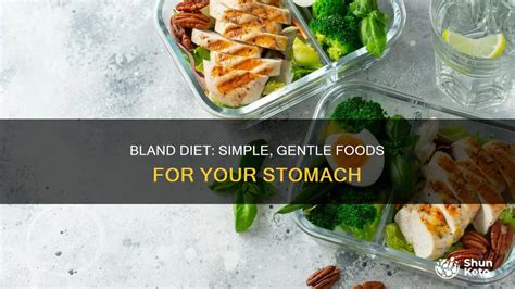 Bland Diet Simple Gentle Foods For Your Stomach Shunketo