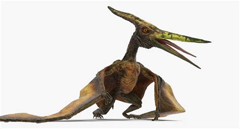 Pteranodon Flying Carnivorous Reptile 3d Model Turbosquid 1402550