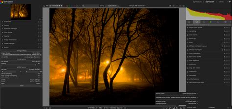 Gammasaturation Difference Between Dt And Other Apps On Mac Processing