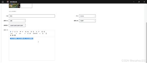 基于ssmvue二次元文化网站开题报告程序论文java Csdn博客 基于ssmvue二次元文化网站开题报告程序论文java Csdn博客
