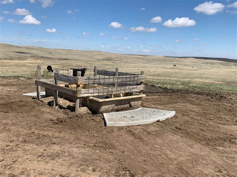 More Photos The Stock Step