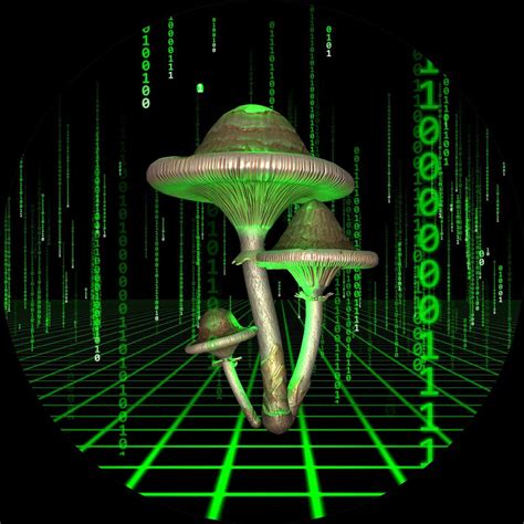 Cyber Mushroom WEBGL Test 1 Release Date Videos Screenshots