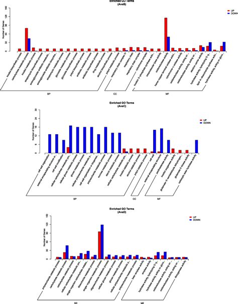 Go Classification Of Degs A Non Drought Stressed Control