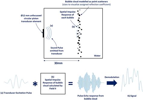 The Simulation Setup Implemented In Field Ii Depicting The Signals At