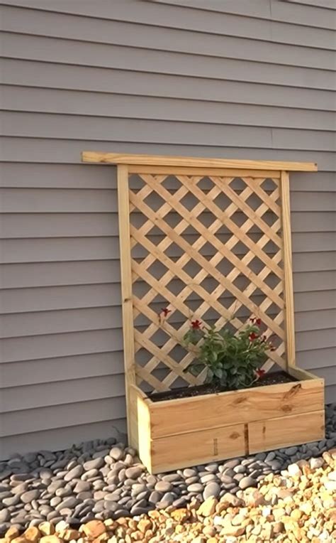 52 Stunning Diy Trellis For Plants Ideas To Transform Your Space