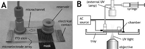 Photograph And Diagram Of The Patterning Apparatus A A Photomask