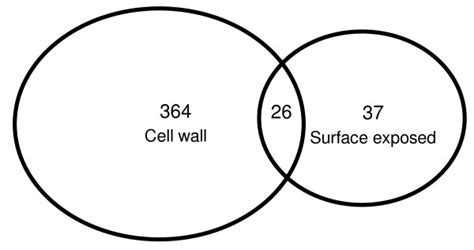 Venn Diagram Showing The Overlap Between Cell Wall Cell Surface Download Scientific Diagram