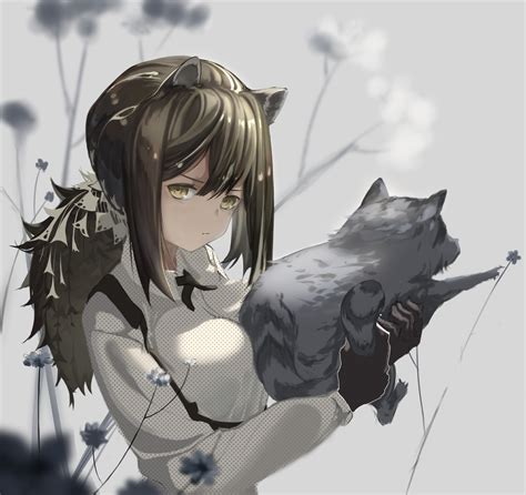 Robin | Пикабу