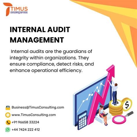 Timus Consulting Services On Linkedin Internalaudits Businesssuccess Auditmanagement
