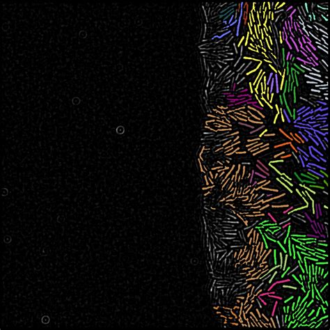 Learning The Complete Dynamical Phase Diagram Of Bacterial Swarming