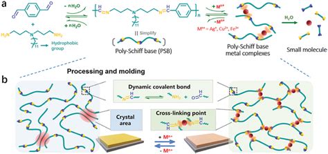 Design Concept Of Psb And Poly‐schiff Base Metal Complexes A