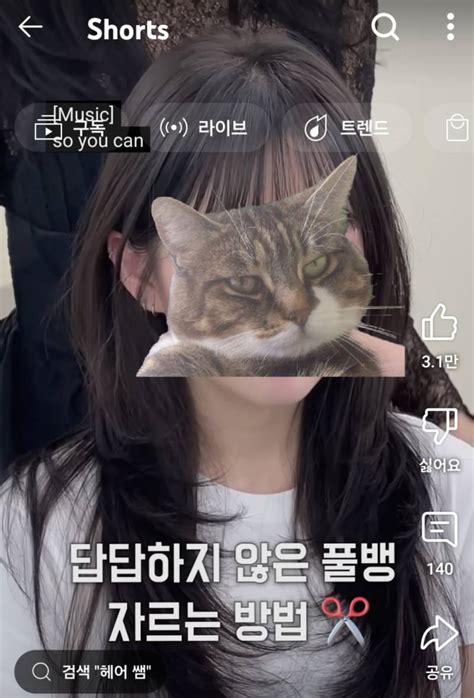 [잡담] 이런 머리 정확한 펌 이름이 뭐야 인스티즈 Instiz 일상 카테고리