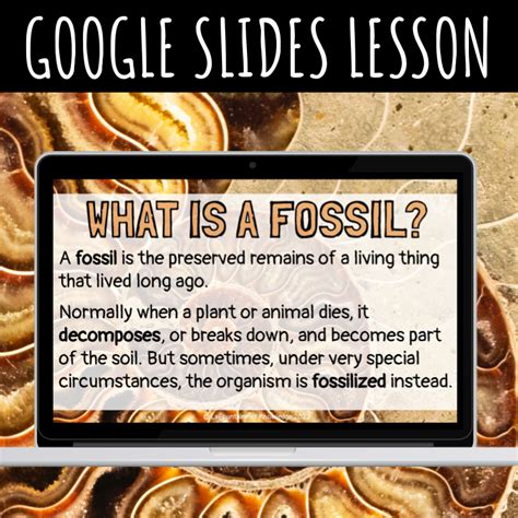 Types Of Fossils Lesson With Google Slides Notes Worksheet And Answer Key Classful