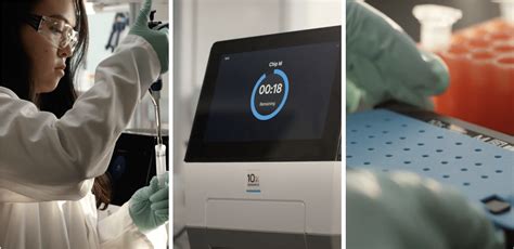 Chromium Single Cell 10x Genomics