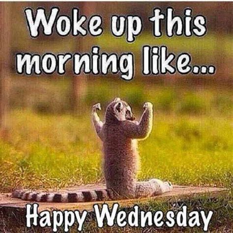 勞 35 Funniest Wednesday Meme Meme Central