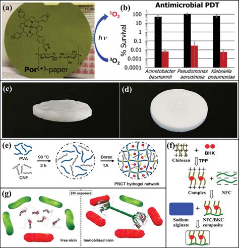 A Preparation Diagram Of Pspaper Conjugates And B Antibacterial