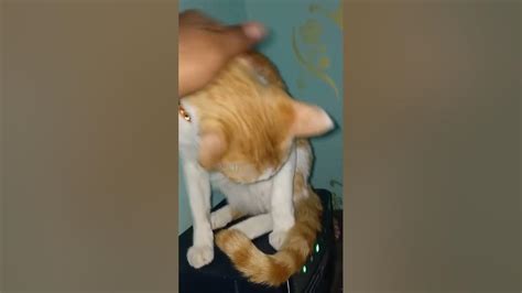 ദേ താൻ വൃത്തികേട് പറയരുത് Viralcomedy Cute Trending Youtube