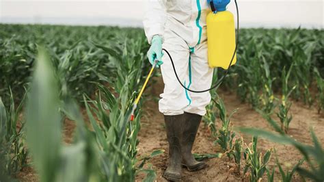 Why Farmers Use Pesticides And Herbicides