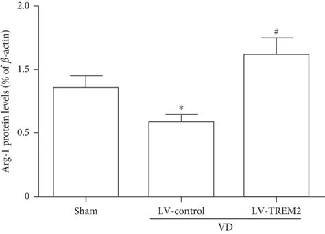 Trem2 Overexpression Modifies Microglia Phenotype In Vd Mice A Ihc Download Scientific
